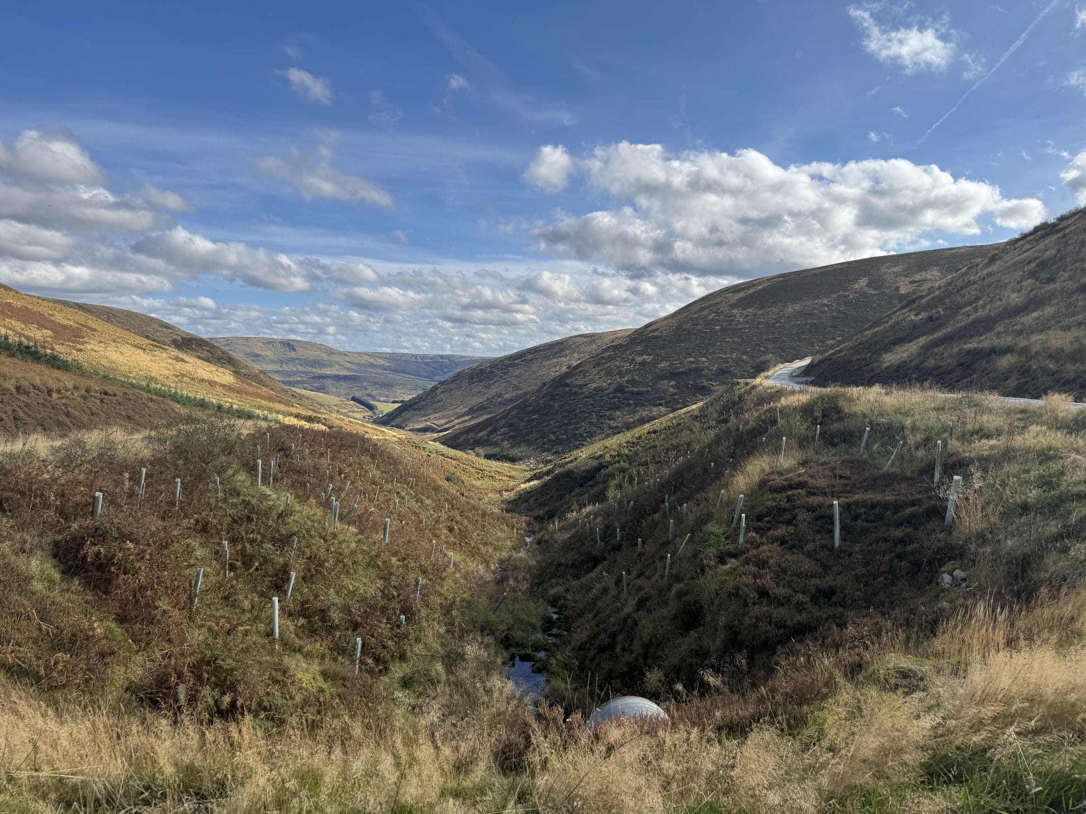 CWP Energy unveils plans for Caple Rig Wind Farm • CWP Energy